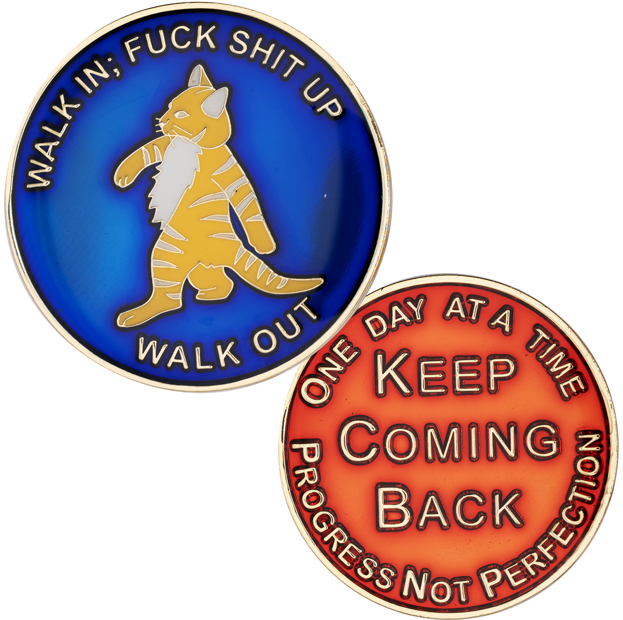 Z34. Walk In Walk Out Cat Coin, Art Version